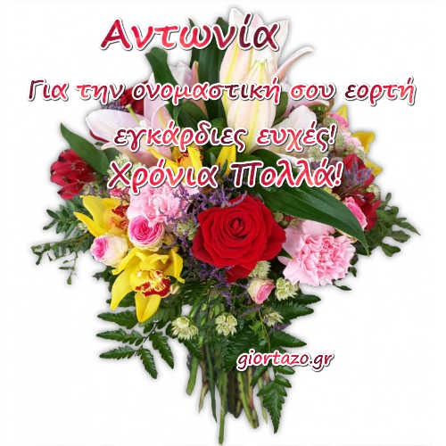 Αντώνη Αντωνία Χρόνια Πολλά !! - Giortazo.gr