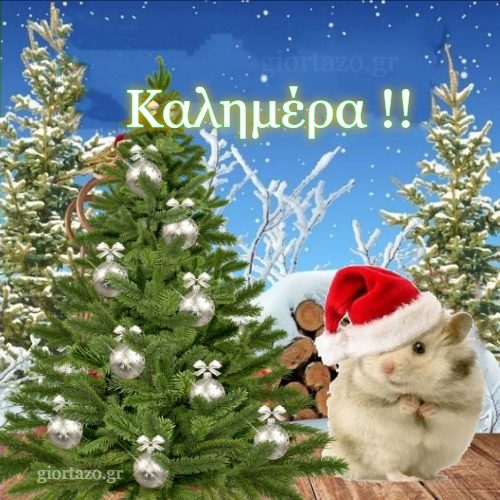 Καλημέρες Με Το Πνεύμα Των Χριστουγέννων - Giortazo.gr